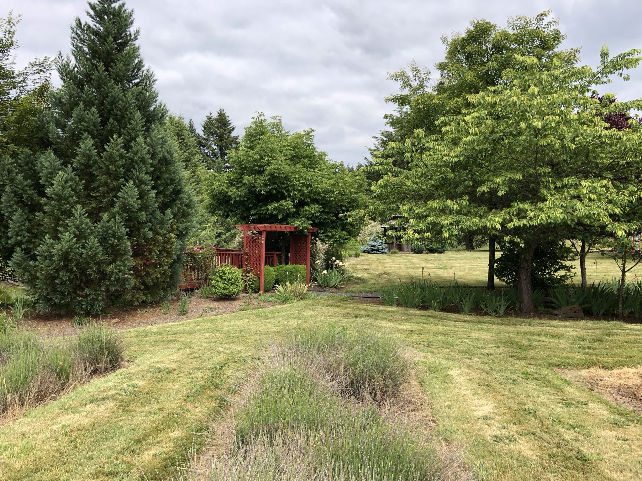 Five years – Yellow Cottage Homestead