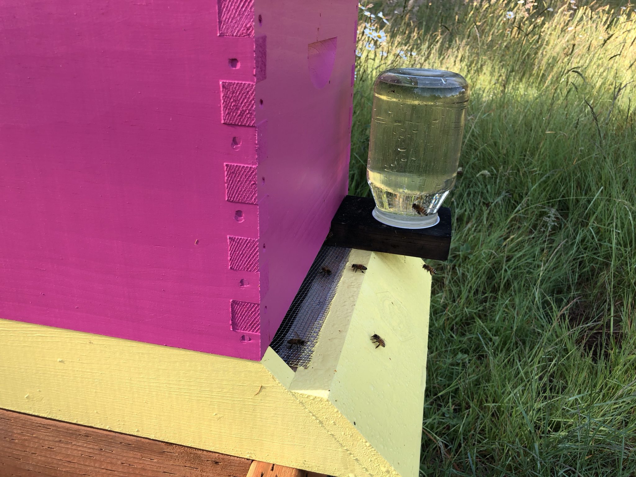 Bees at the fast food restaurant – Yellow Cottage Homestead