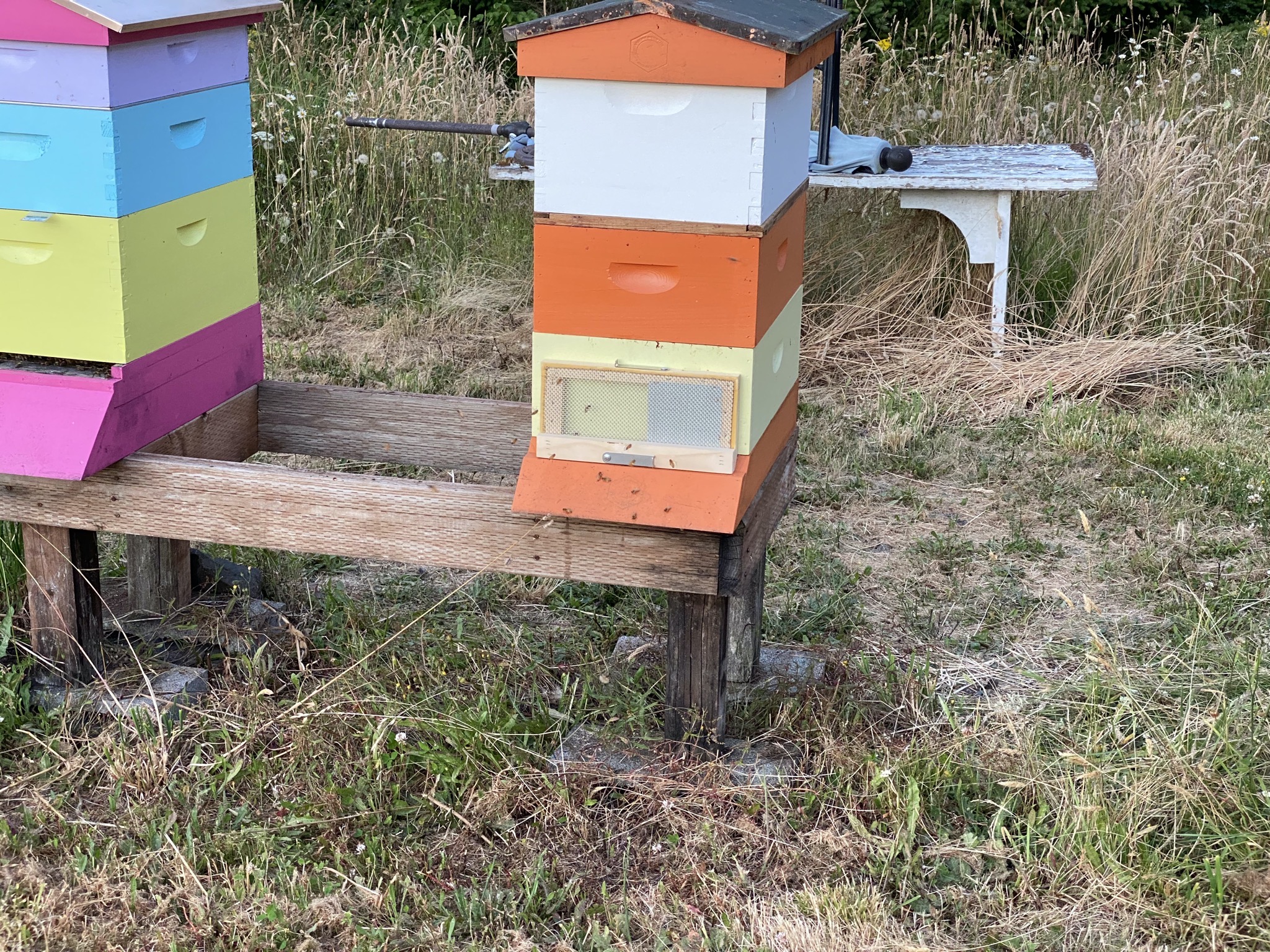 Beehive tweaks in July 2020 – Yellow Cottage Homestead